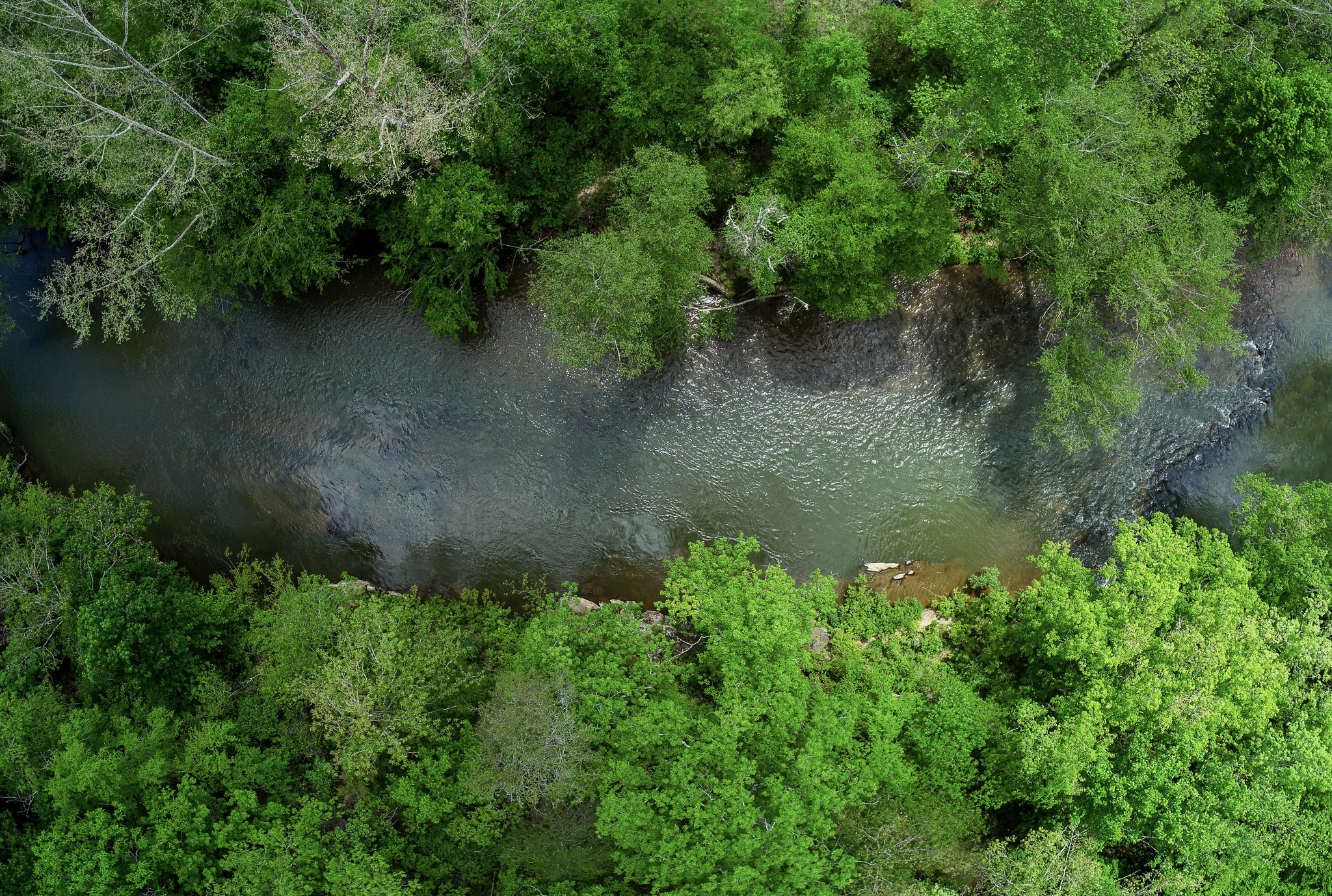Mayo River - Piedmont Legacy Trails