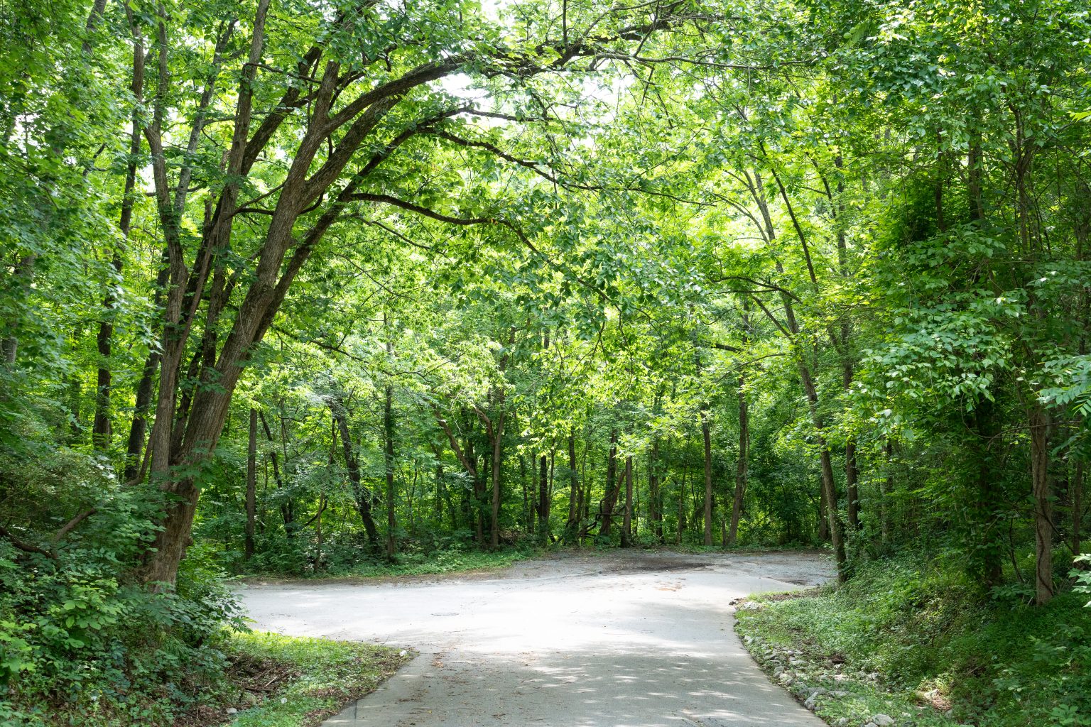 Deep River State Trail Guide | Piedmont Legacy Trails
