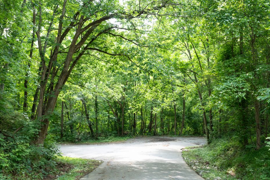 Deep River State Trail Guide | Piedmont Legacy Trails